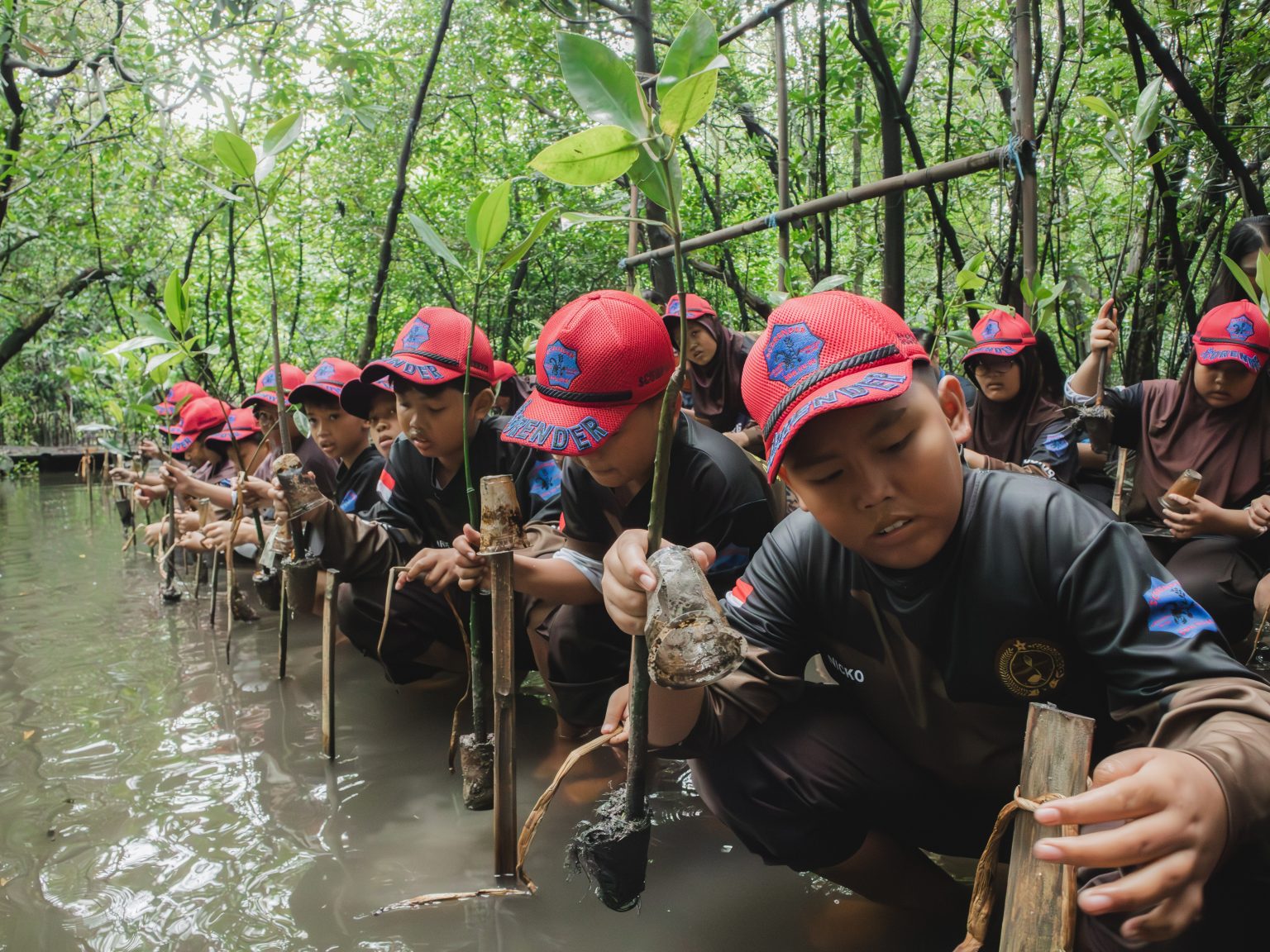HARRIS Puri Mansion dan Oakwood PIK Jakarta Gelar Mangrove Education ...